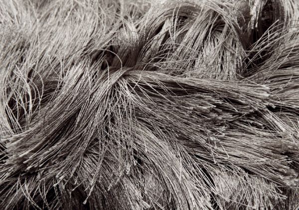 Custom made Limited Edition WILD polyester rugs are amazingly colorful ...