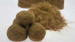 Scientists explore ways to use organic seaweed as an effective ...