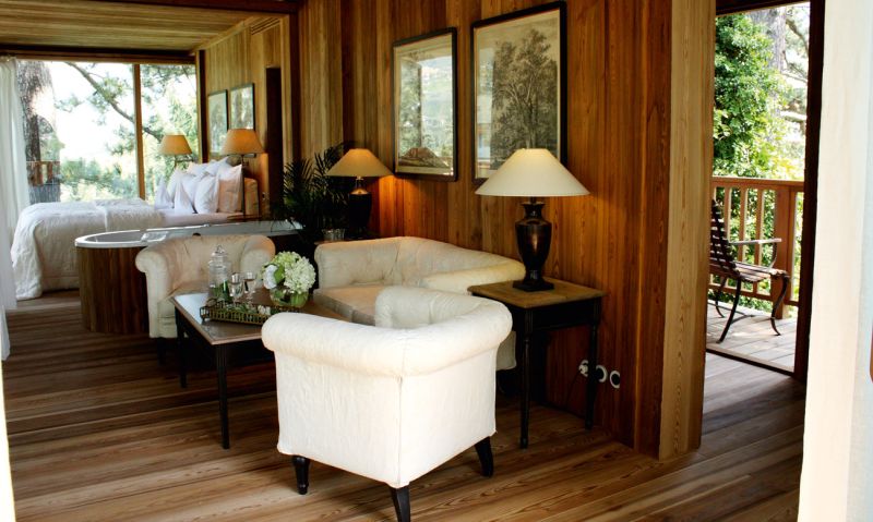 30+ Best Treehouse Hotels and Rentals in the World