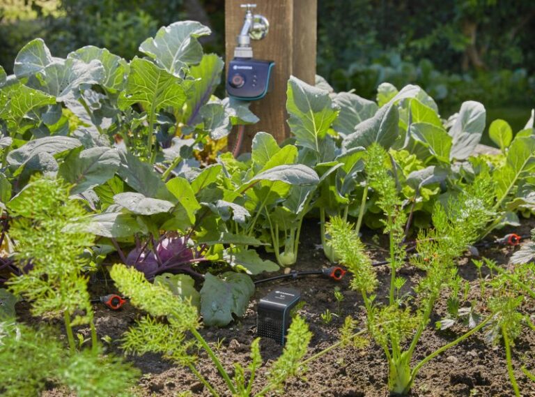 5 Best Plant Sensors for Smart Gardeners (Tips & Suggestions)