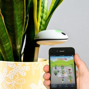 5 Best Plant Sensors for Smart Gardeners (Tips & Suggestions)