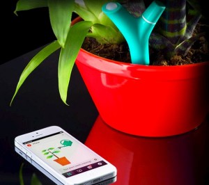 5 Best Plant Sensors for Smart Gardeners (Tips & Suggestions)