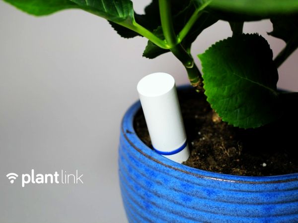 5 Best Plant Sensors for Smart Gardeners (Tips & Suggestions)