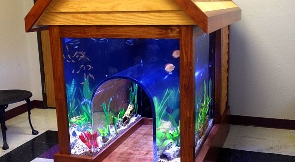 Fish tank dog house - A dream home for your furry friend