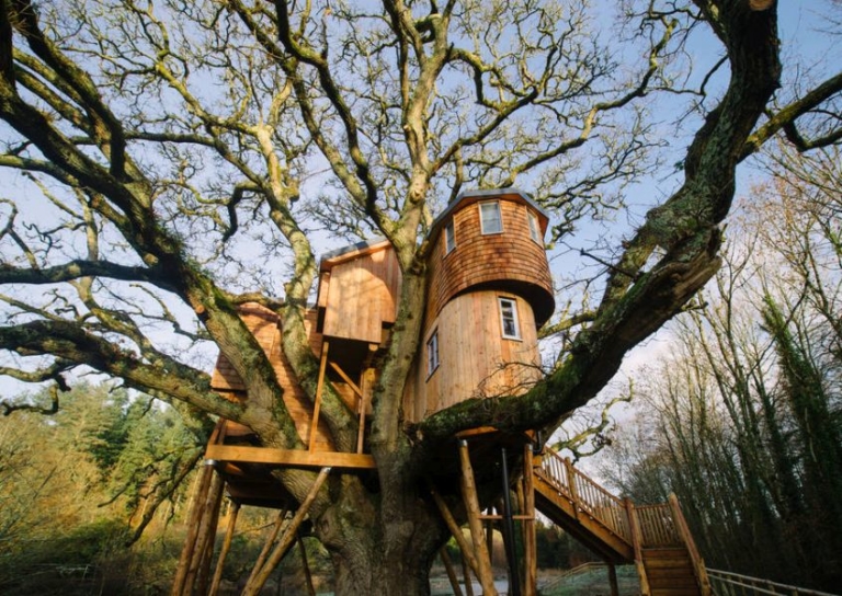 Treetops Treehouse is Built on Branches of a 250-Year-Old Oak Tree