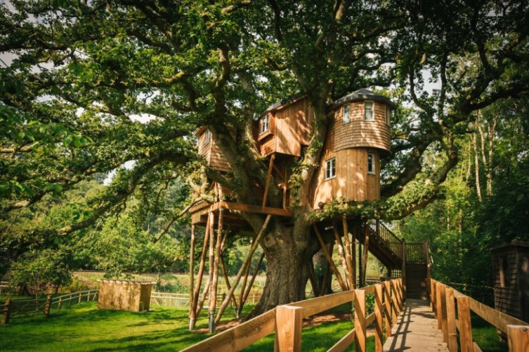Treetops Treehouse is Built on Branches of a 250-Year-Old Oak Tree