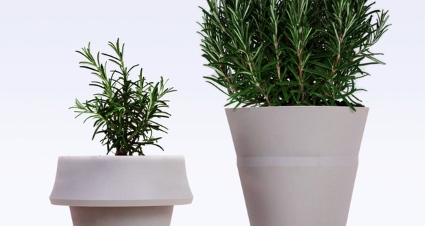 Fold Pot is a flexible container that grows with your plant - HomeCrux