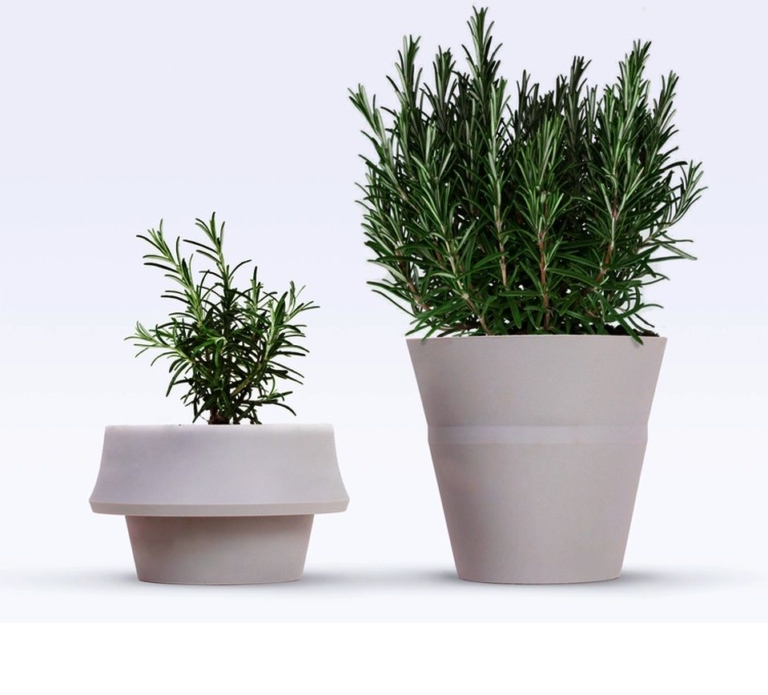 Fold Pot is a flexible container that grows with your plant - Homecrux