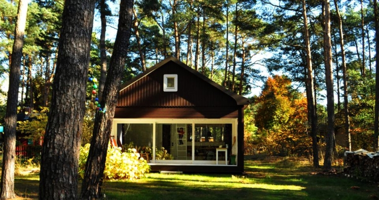 Fairytale Forest House nestled in the serene woods of Germany - Homecrux