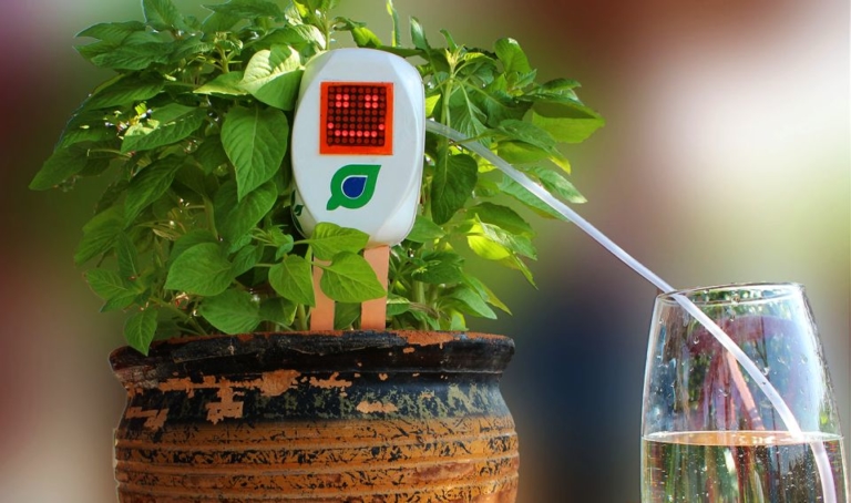 Smart Plant Watering System Depicts Plants' Health by Smiling at You