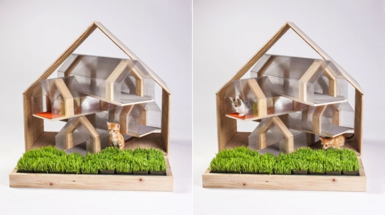 Architects designed series of cat houses for ‘FixNation’ fundraiser ...
