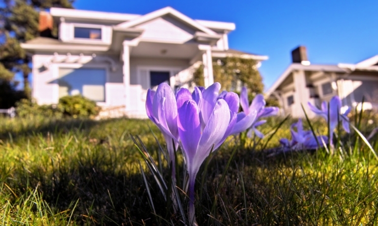 Refurbish your home this spring season with easy DIY tips - Homecrux