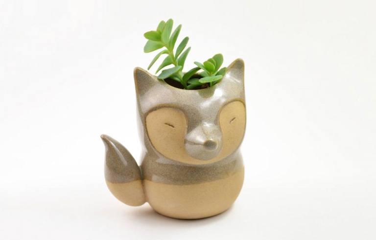 Animal-themed ceramic pots will add beauty and cuteness in your house