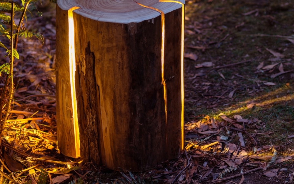 Duncan Meerding turns tree stumps into gorgeous vessels for light ...
