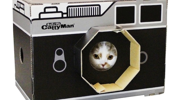 Camera Cat Scratch Box cat bed brings out your kitty’s inner shutterbug