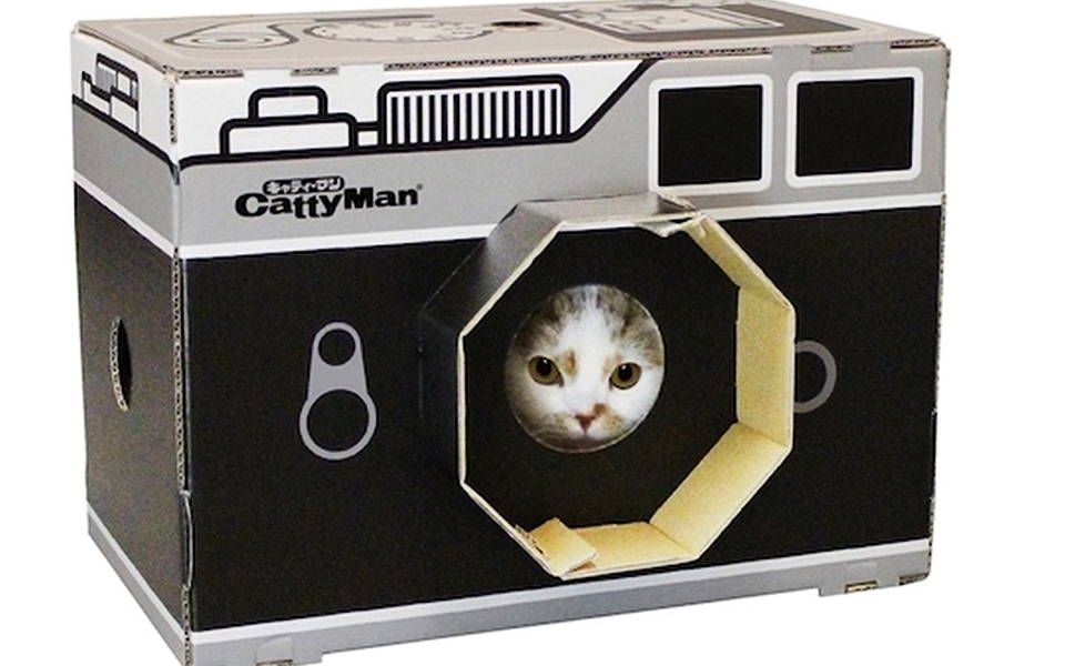 Camera Cat Scratch Box cat bed brings out your kitty’s inner shutterbug