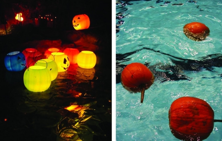 20 Halloween Pool Party Decoration Ideas