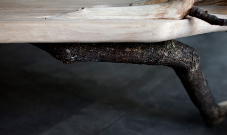 Fallen Tree Bench Keeps Natural Form of a Tree Intact