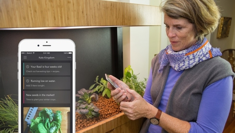 Grove ecosystem grows fresh indoor food using a fish tank - Homecrux