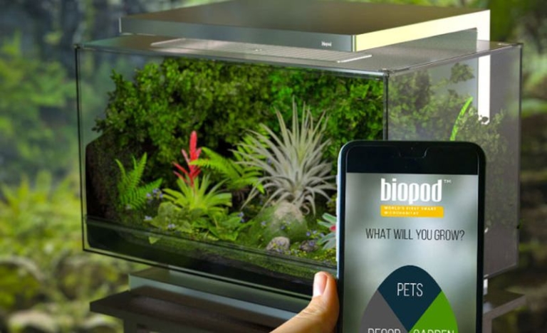 App-controlled Biopod recreates rainforest ecosystem at home - Homecrux