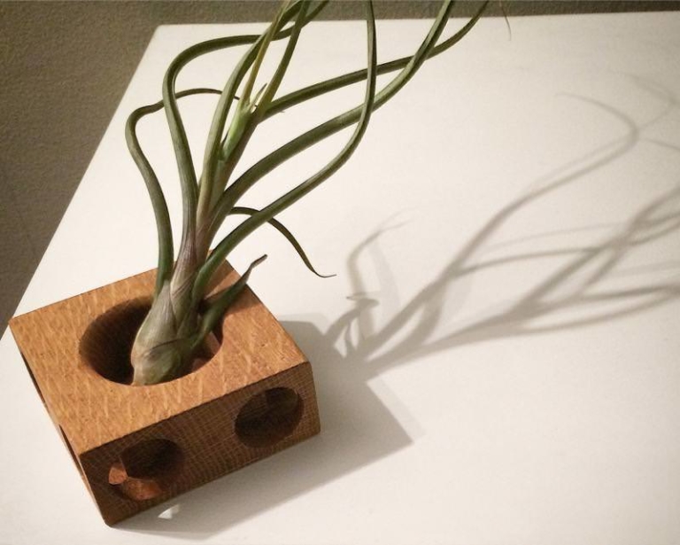PlantBlock: Handcrafted Wooden Planter Brings Freshness Indoors
