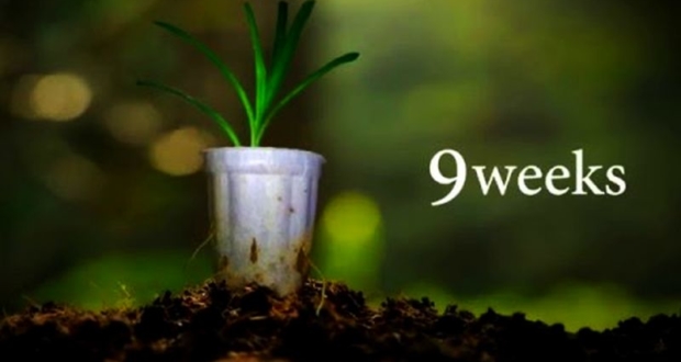 100BIO: World’s first 100% biodegradable foam food containers