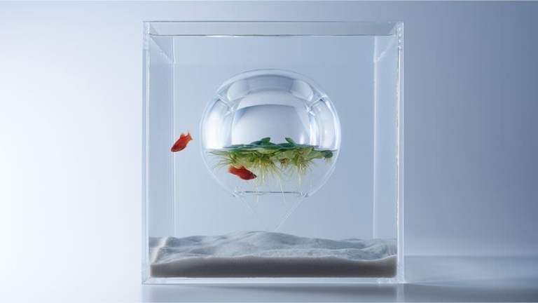 This gravity-defying fish tank is an absolute illusion