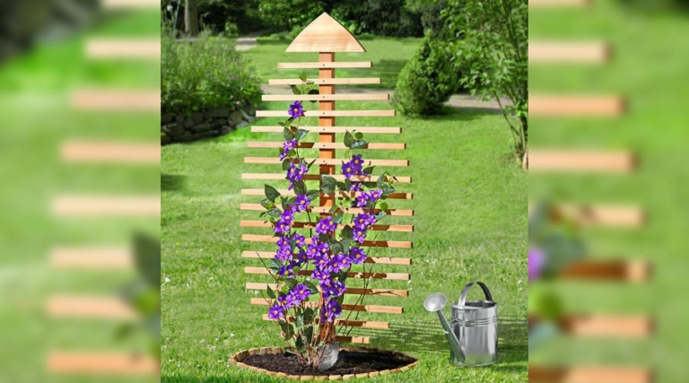 Pine Leaf-Shaped Trellis Bestows Garden with Summer-Ready Look