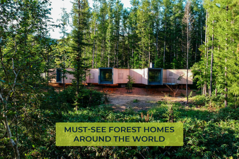 20 Modern Forest Houses from Around the World
