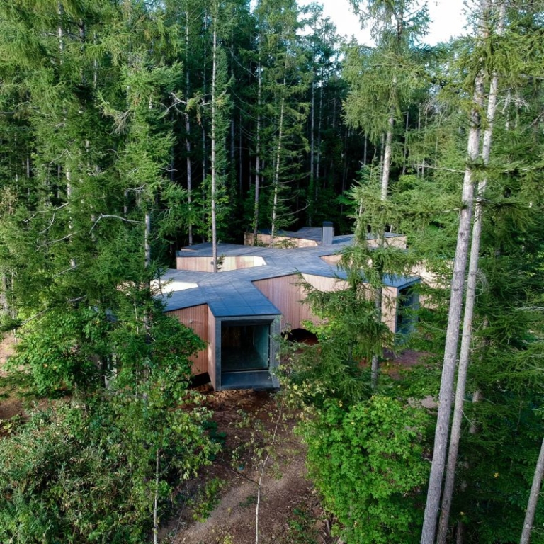20 Modern Forest Houses from Around the World