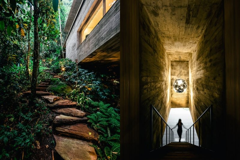 20 Modern Forest Houses from Around the World