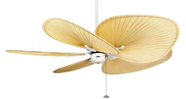 Tropical-styled Islander fan designed by Casa Bruno
