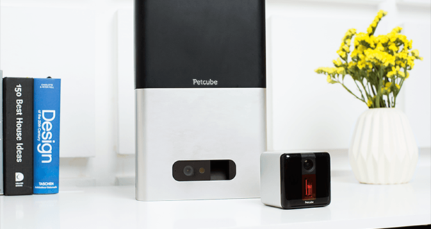 PetSafe Automatic Cat Feeder Delivers Timely Meals