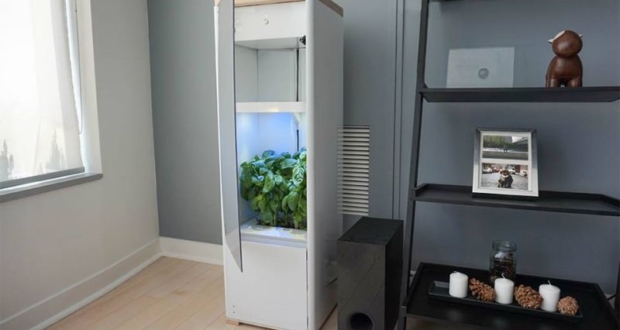 Grobo Automated Hydroponic Grow Box for Indoor Gardeners - Updated 2019