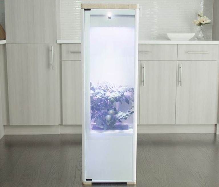Grobo Automated Hydroponic Grow Box for Indoor Gardeners - Updated 2019