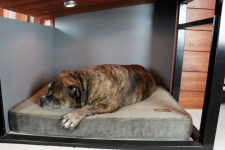 15 Architectural Doghouses That'll Put Your Home to Shame