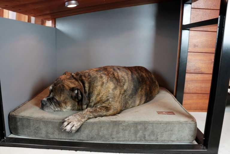 15 Architectural Doghouses That'll Put Your Home to Shame