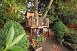 5 Things you Need to Know Before Building a Treehouse