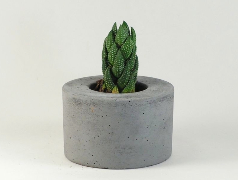 22 Modern Concrete Planters Built to Last (Images & Prices)
