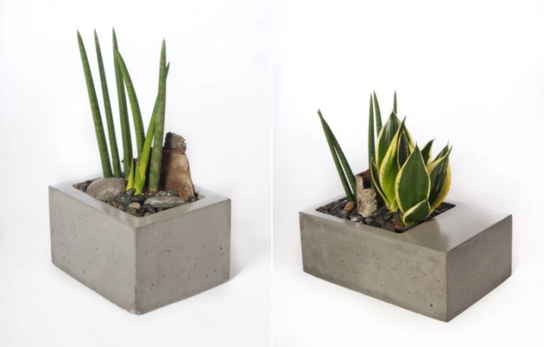 20+ Modern Concrete Planters Built to Last