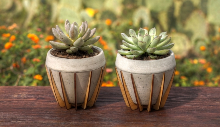 20+ Modern Concrete Planters Built to Last