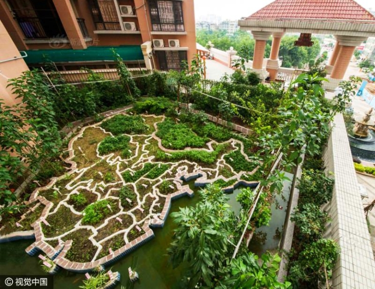 Veteran builds scale map of China in his terrace garden