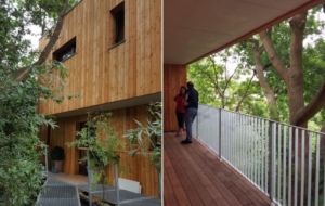 Dursley treehouse is nature-inspired home by Millar + Howard Workshop