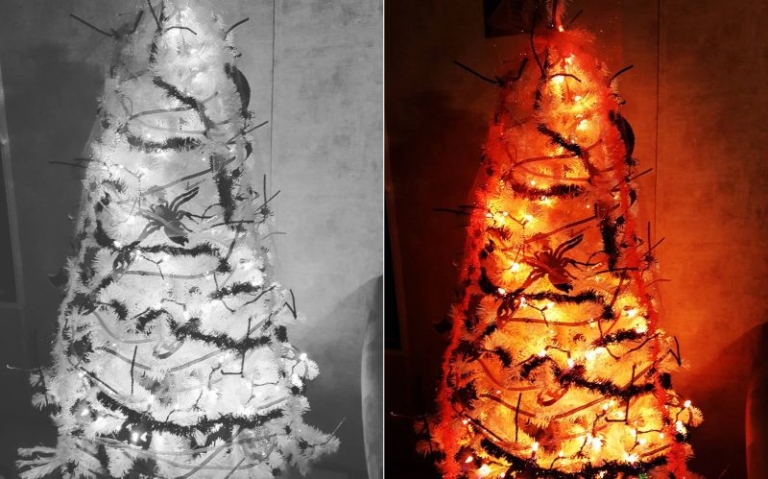 Halloween Christmas trees for spooky decorations this holiday season