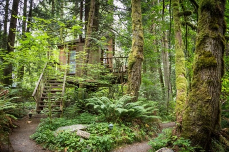 TreeHouse Point: A Village of Treehouses Perfect for Glamping