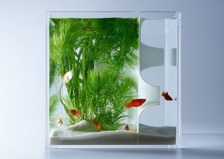 Waterscapes reinvent aquariums with 3D printed architectural pizzazz