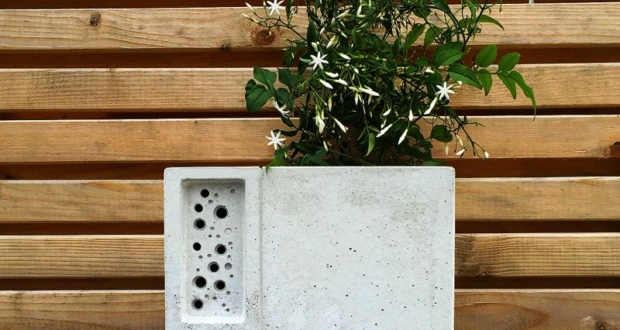 Stylish Beepot concrete planter has space for solitary bees to live in