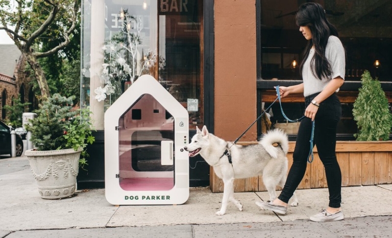 Park your Pet in the Air-Conditioned DogSpot While You Shop