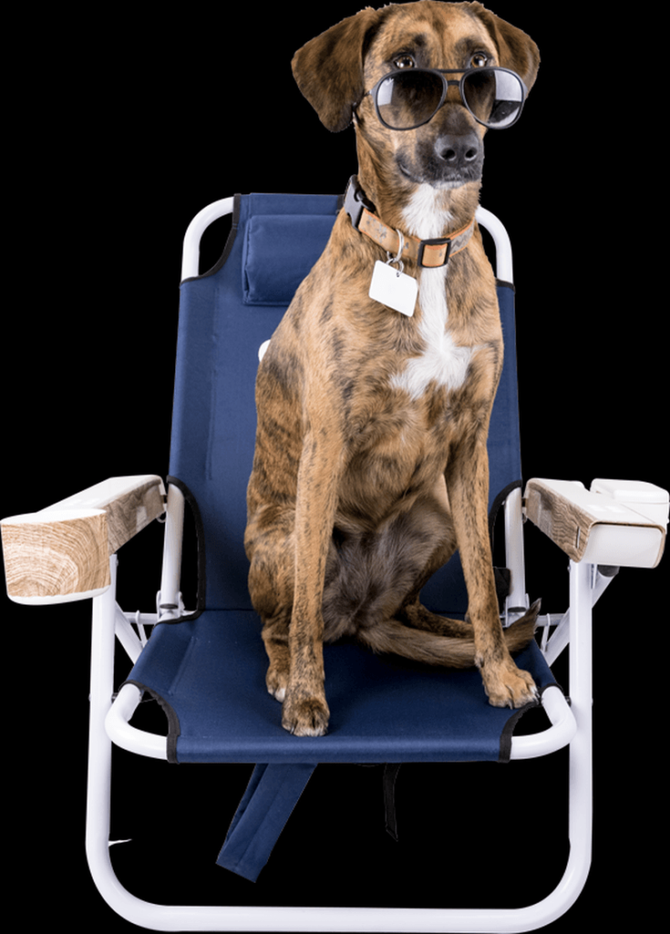 Shaze lounge chair has built-in speakers and removable battery