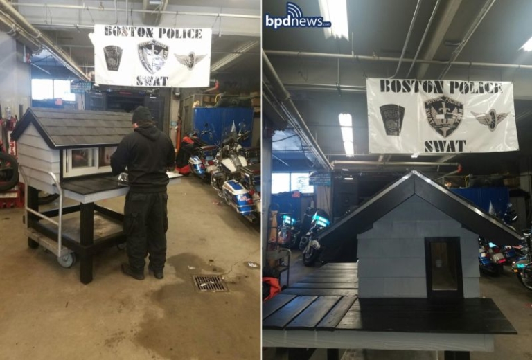 Boston Police Department build’s a lovely house for a cat